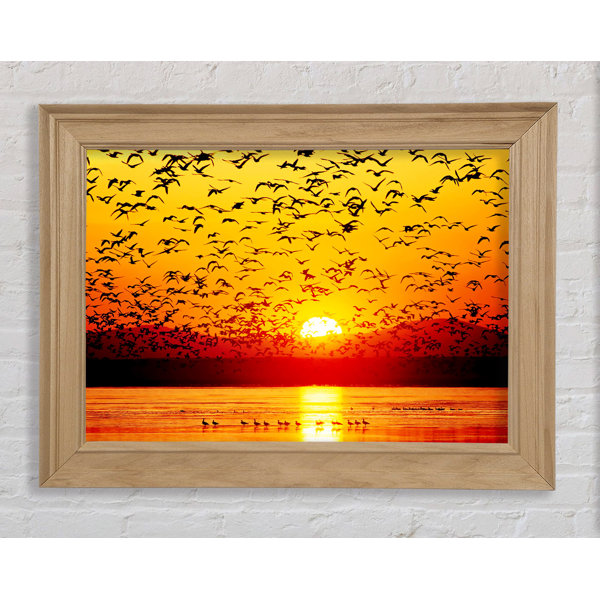 Bright Star The Birds In The Golden Sunset - Single Picture Frame Print ...